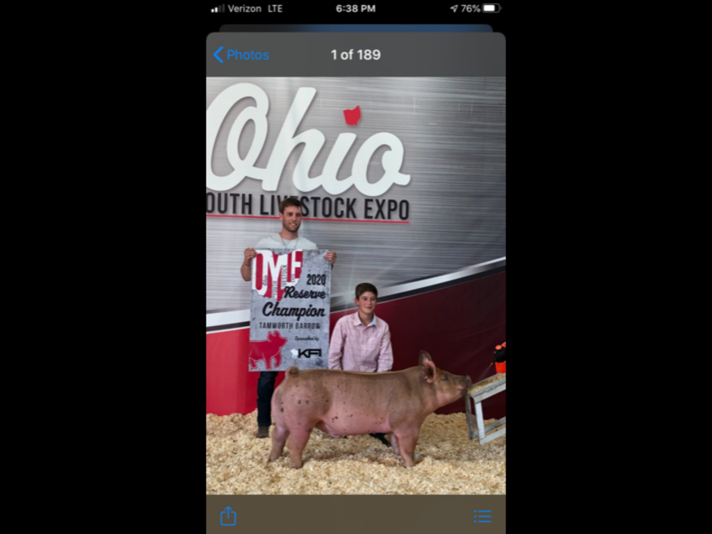 Show Cattle Feed & Supplements – Show-Rite