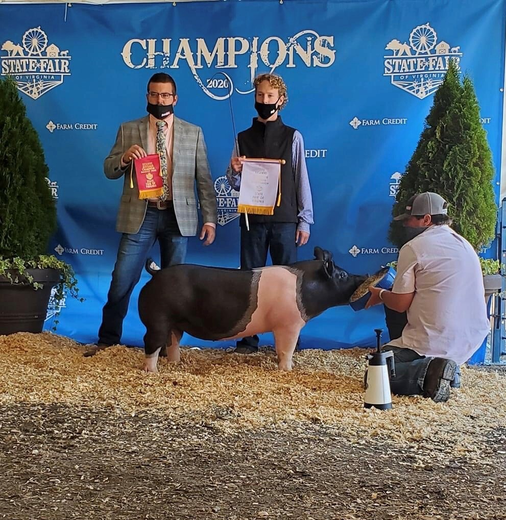 Show Cattle Feed & Supplements – Show-Rite