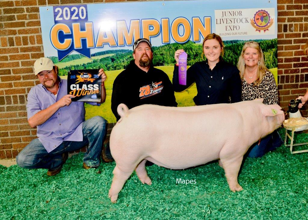 Show Cattle Feed & Supplements – Show-Rite