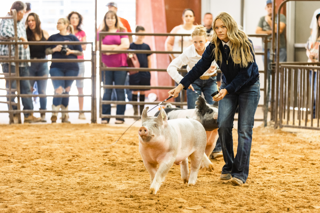 2021 Pig Champions – Show-Rite