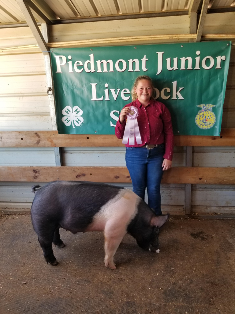 2023 Pig Champions – Show-Rite