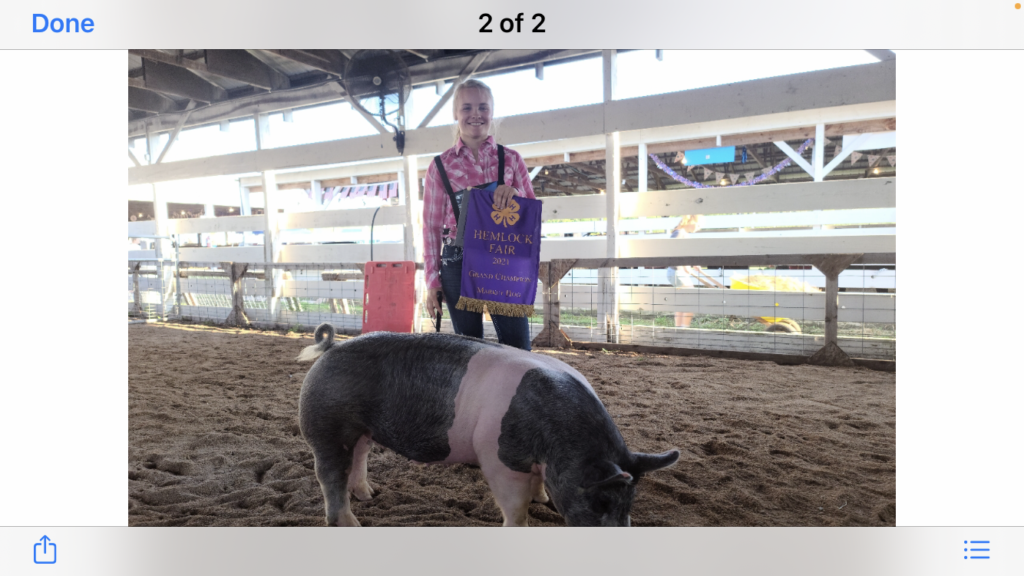 2023 Pig Champions – Show-Rite