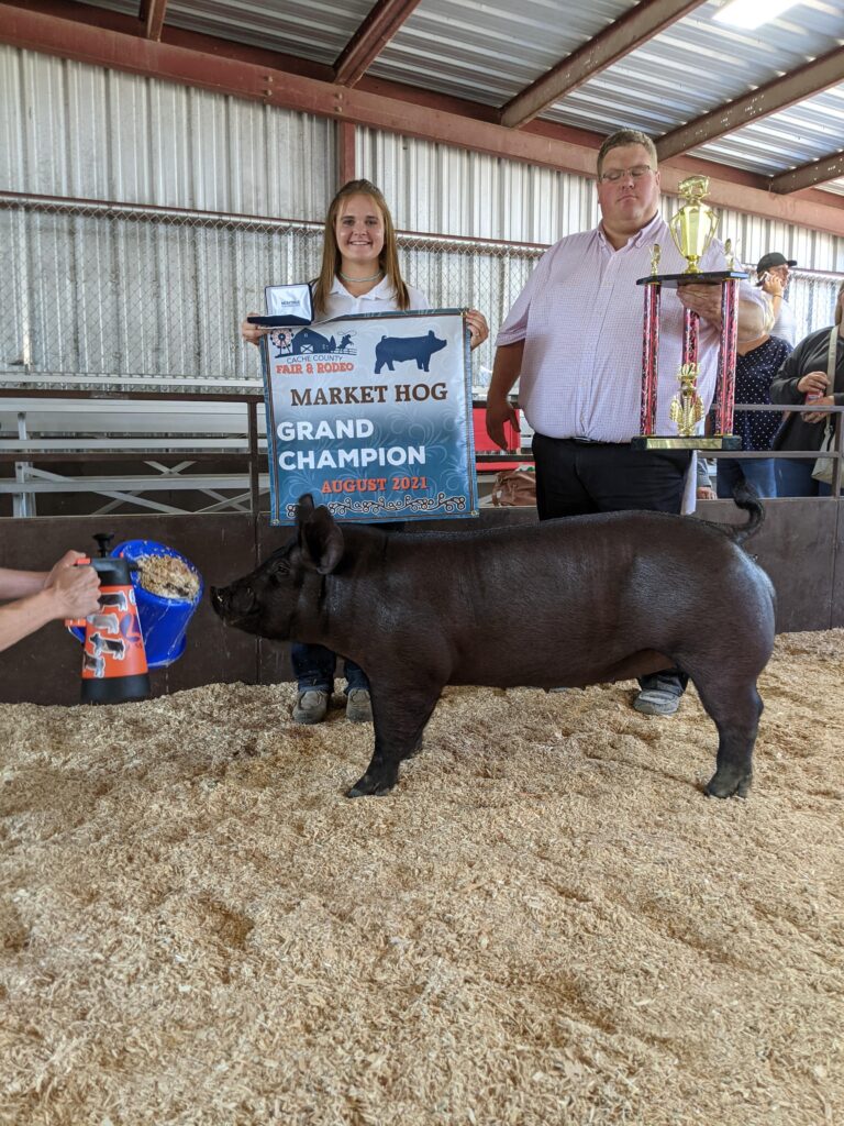 2021 Pig Champions – Show-Rite