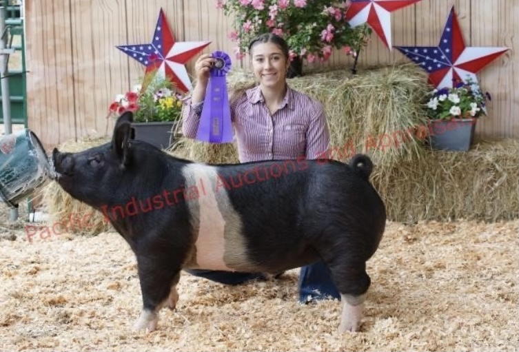 2023 Pig Champions – Show-Rite