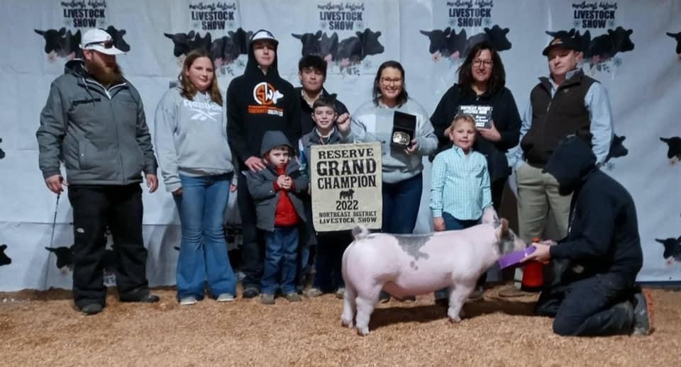 Show Goat Feed & Supplements – Show-Rite