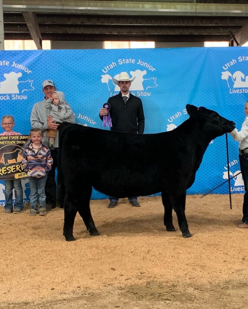 2022 Cattle Champions – Show-Rite