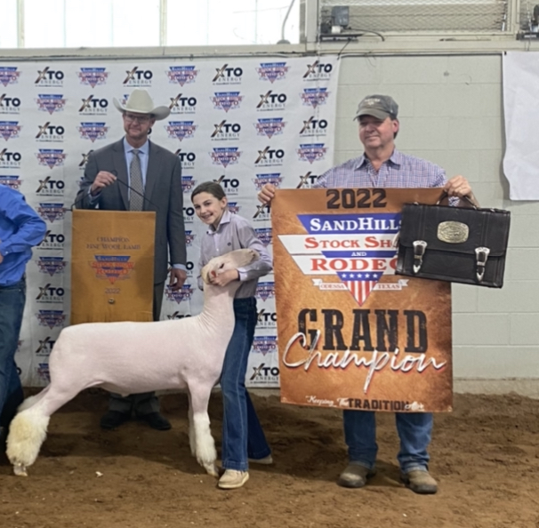 2022 Sheep Champions – Show-Rite