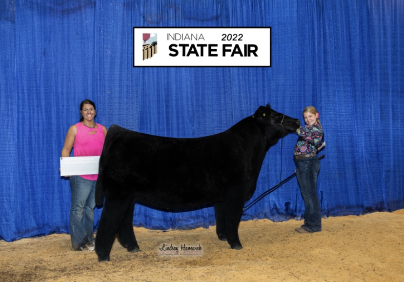 Show Goat Feed & Supplements – Show-Rite