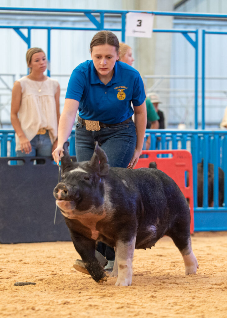 Show Goat Feed & Supplements – Show-Rite