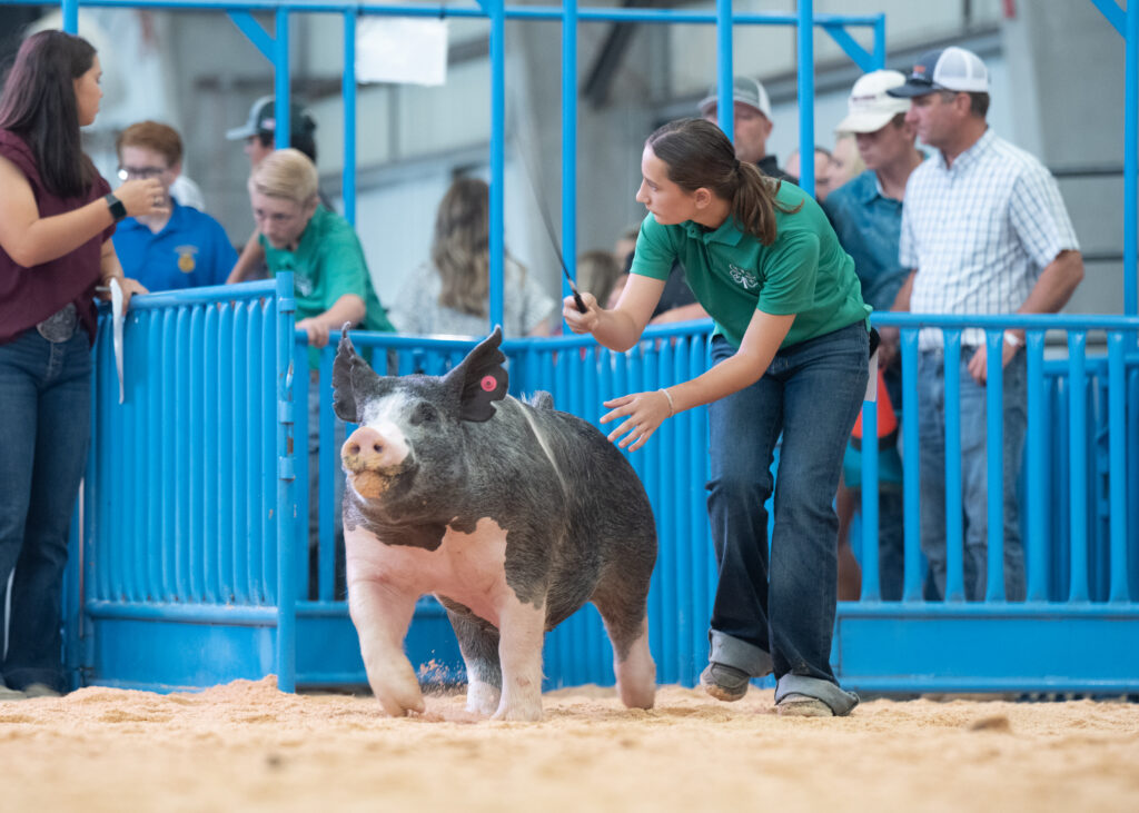 Show Goat Feed & Supplements – Show-Rite