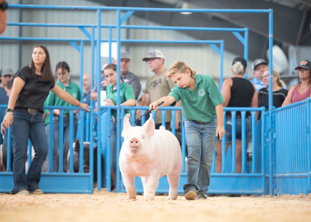 Show Goat Feed & Supplements – Show-Rite