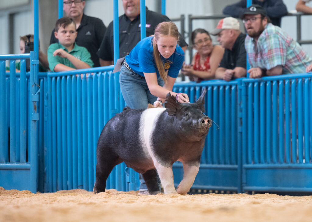 Show Goat Feed & Supplements – Show-Rite