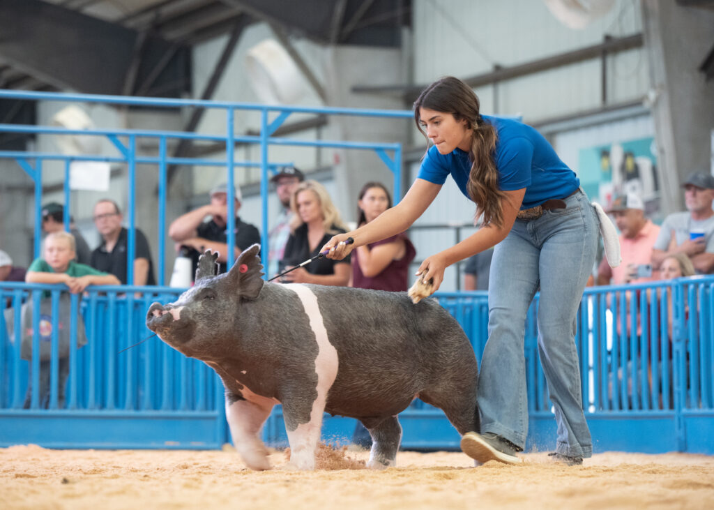 Show Goat Feed & Supplements – Show-Rite