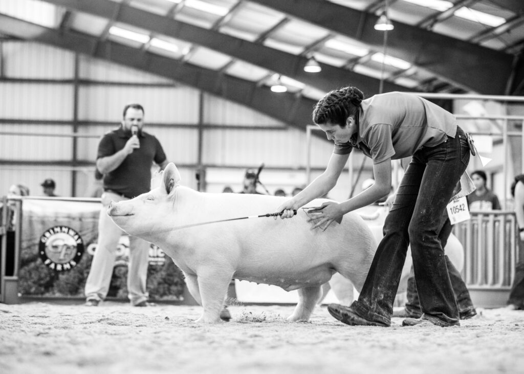 Show Goat Feed & Supplements – Show-Rite