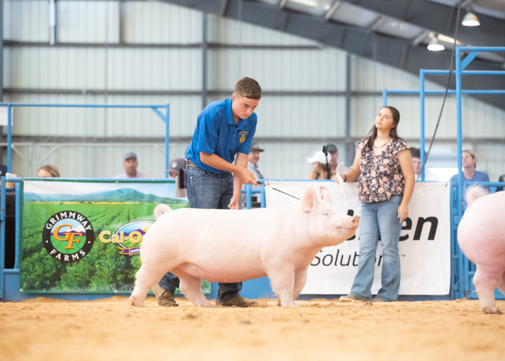 Show Goat Feed & Supplements – Show-Rite