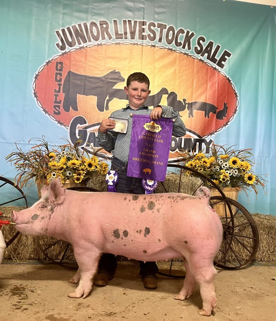 Show Goat Feed & Supplements – Show-Rite