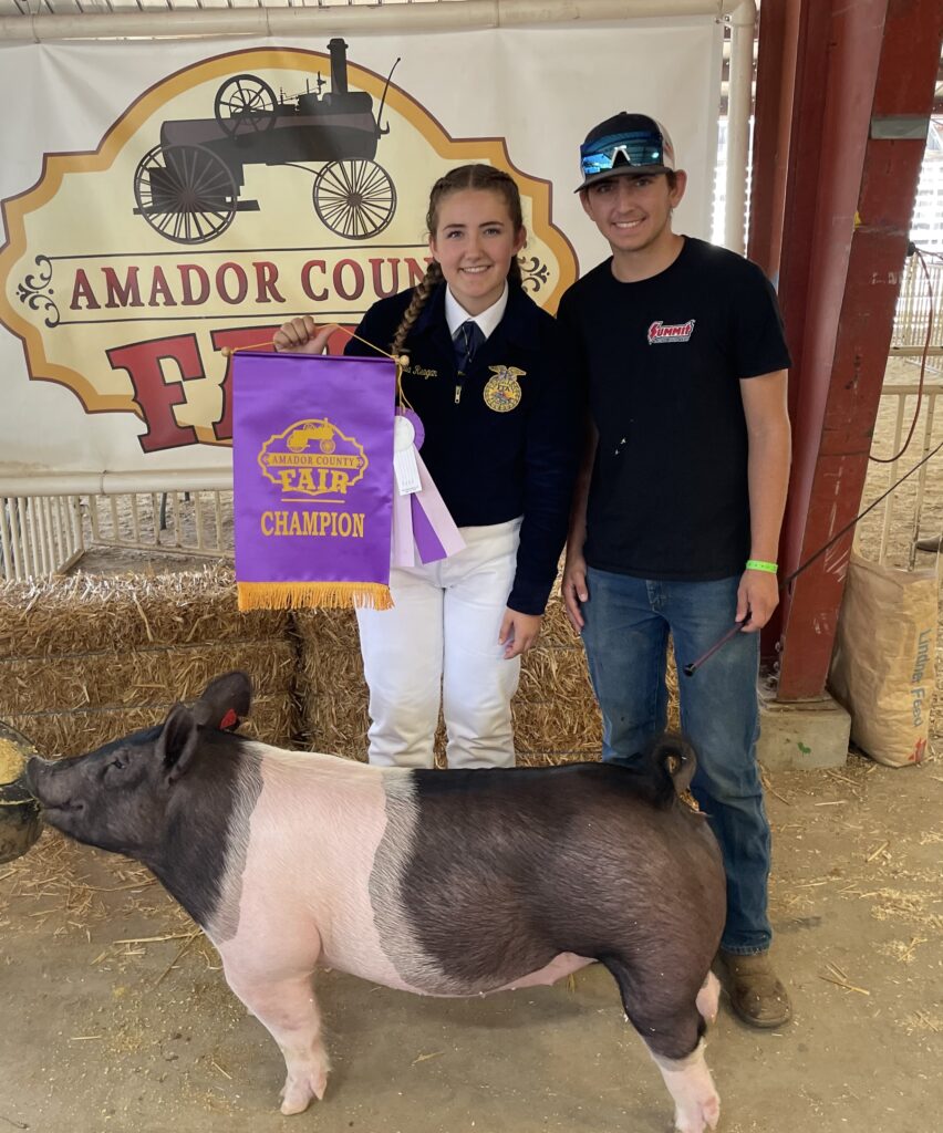 Show Goat Feed & Supplements – Show-Rite