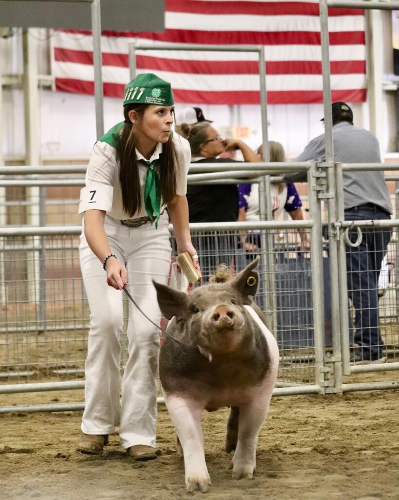 Show Goat Feed & Supplements – Show-Rite