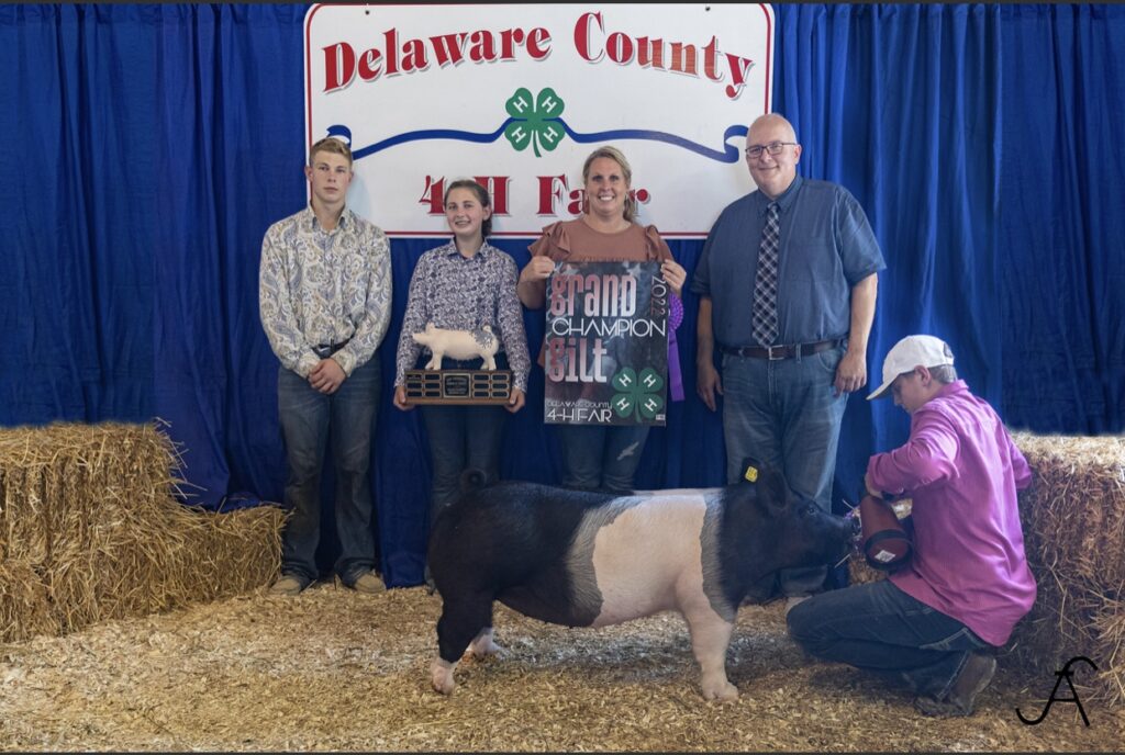 Show Goat Feed & Supplements – Show-Rite