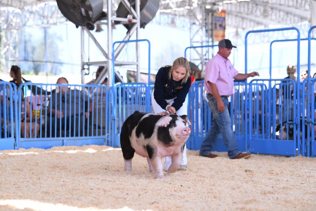 Show Goat Feed & Supplements – Show-Rite