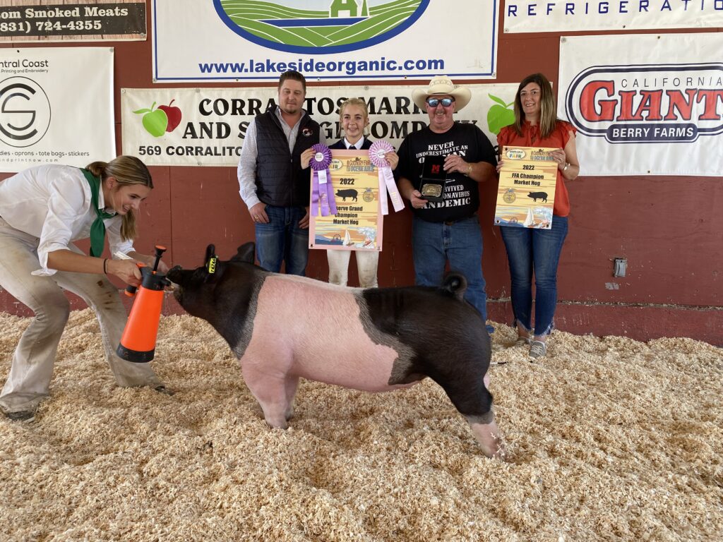 Show Goat Feed & Supplements – Show-Rite