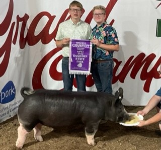 Show Goat Feed & Supplements – Show-Rite