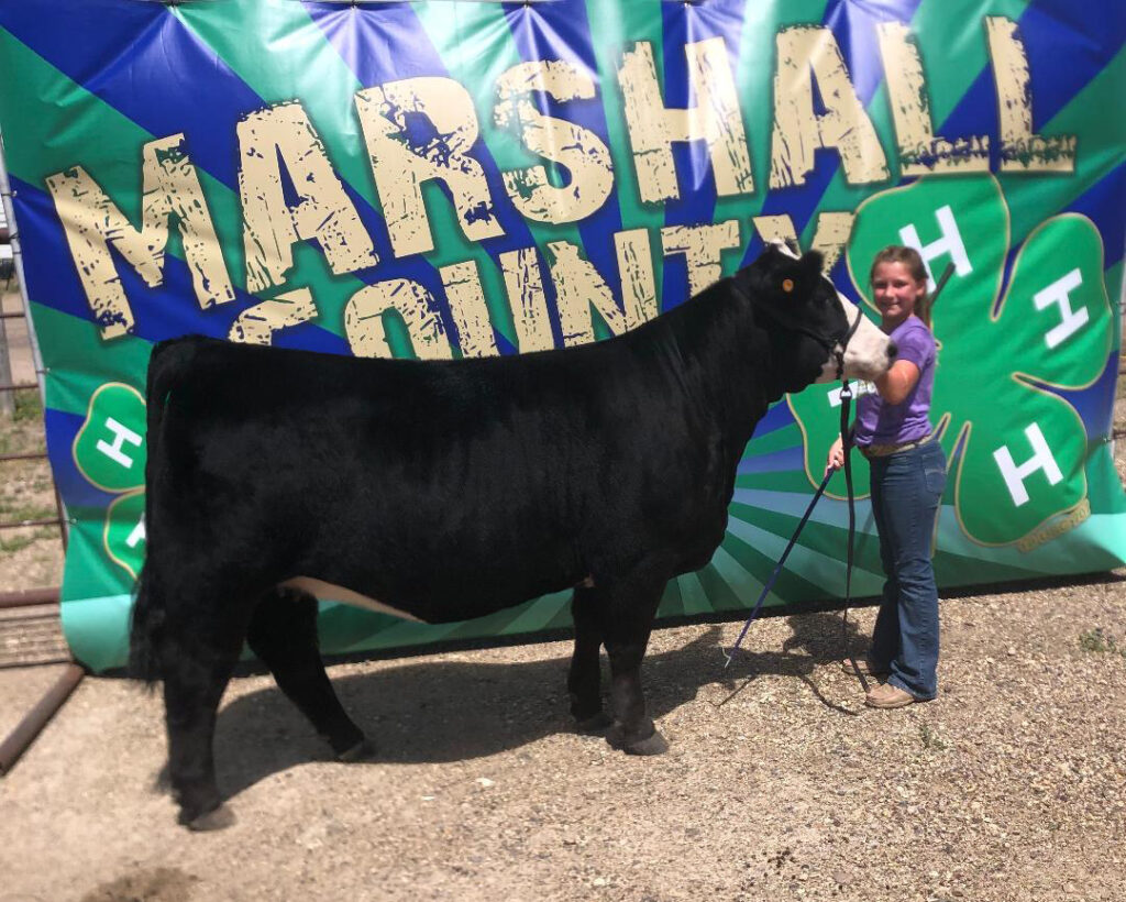 Show Goat Feed & Supplements – Show-Rite