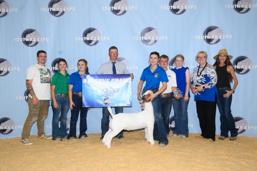 2024 Goat Champions – Show-Rite