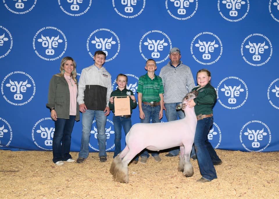 2024 Sheep Champions – Show-Rite