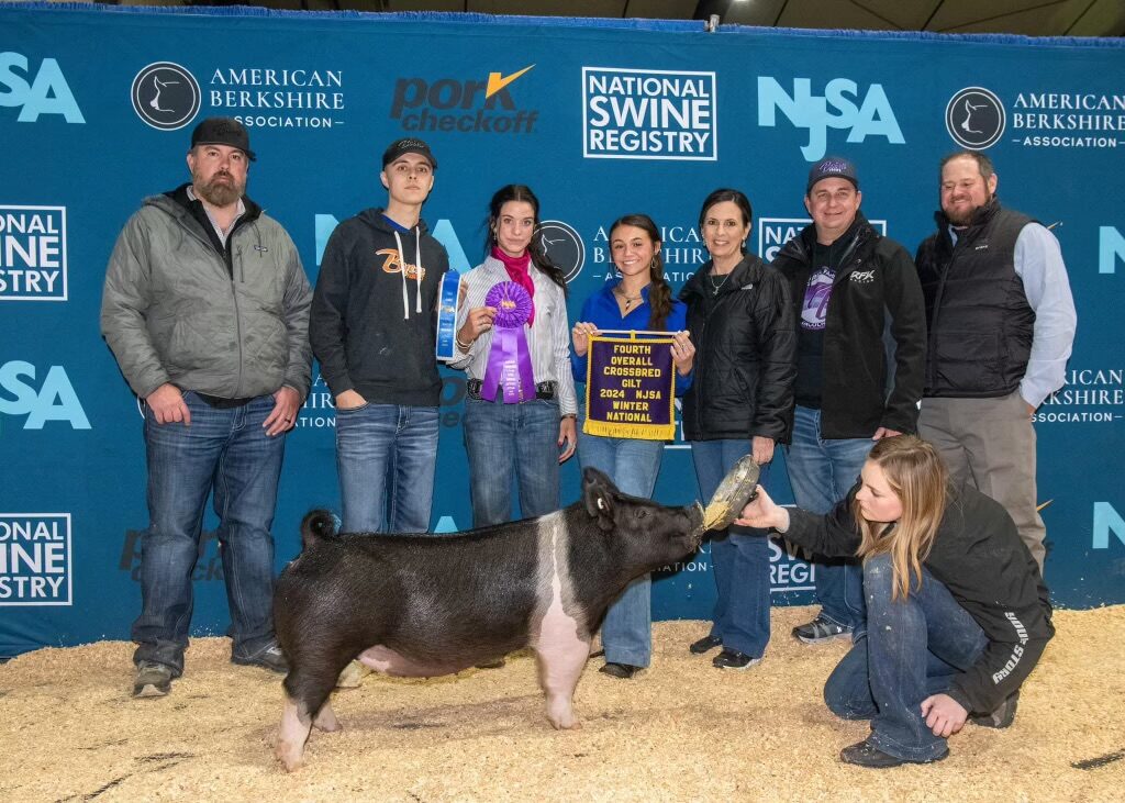 2024 Pig Champions – Show-Rite