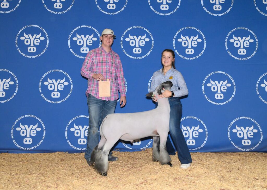 2024 Sheep Champions – Show-Rite