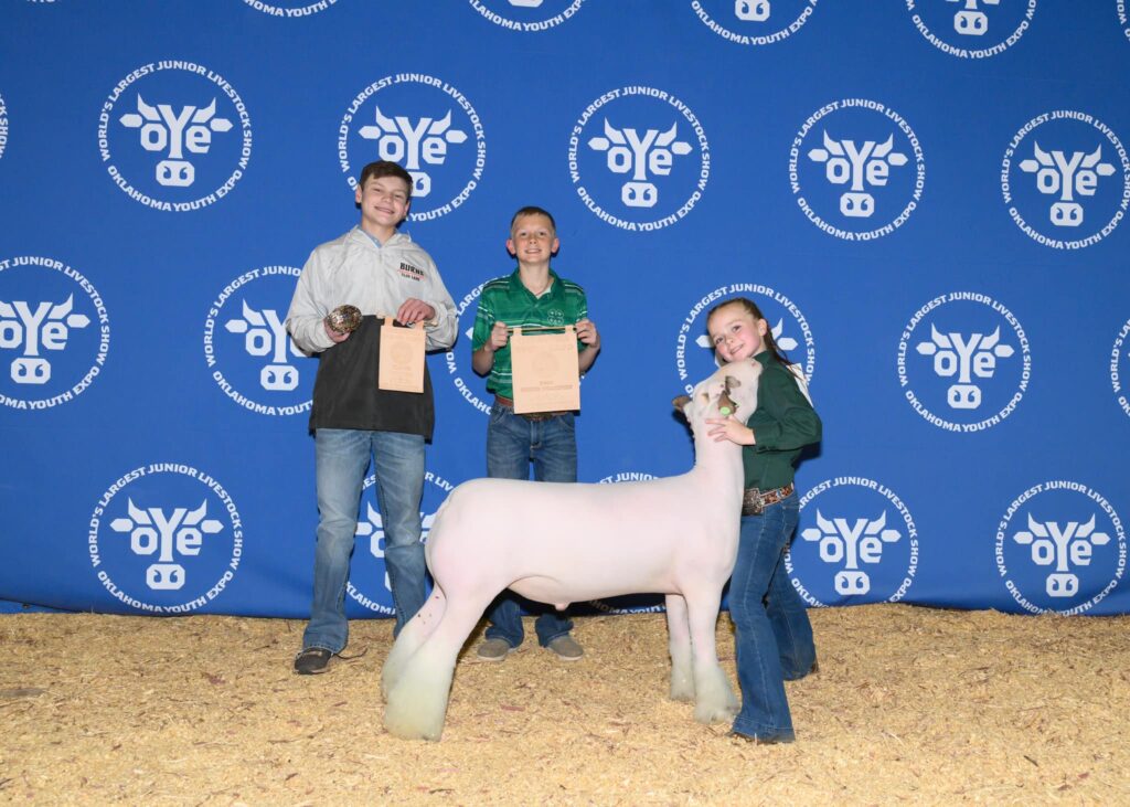 2024 Sheep Champions – Show-Rite